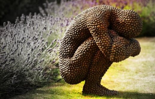 Trypophobia Test, Cure and Causes (Fear of Holes in Skin)