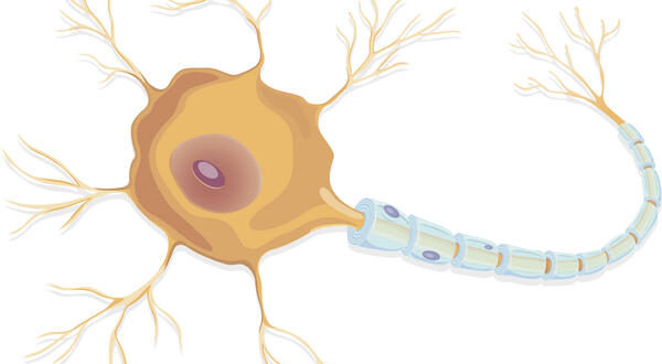 Neuropraxia - Definition, Symptoms, Treatment