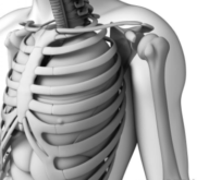 Floating ribs Pain, Left Side, Right Side, Location