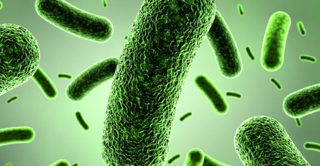 Eikenella Corrodens Transmission, Infection, Periodontitis Treatment
